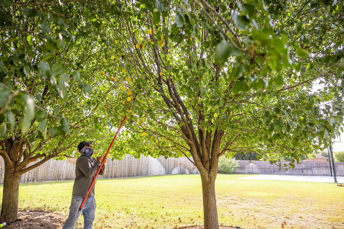 The Complete Guide to Landscape Maintenance for Central Texas Homeowners